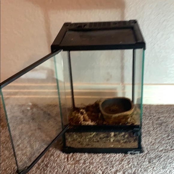 reptizoo | Other | 5 Gallon 8x8x2 Inch Terrarium | Poshmark